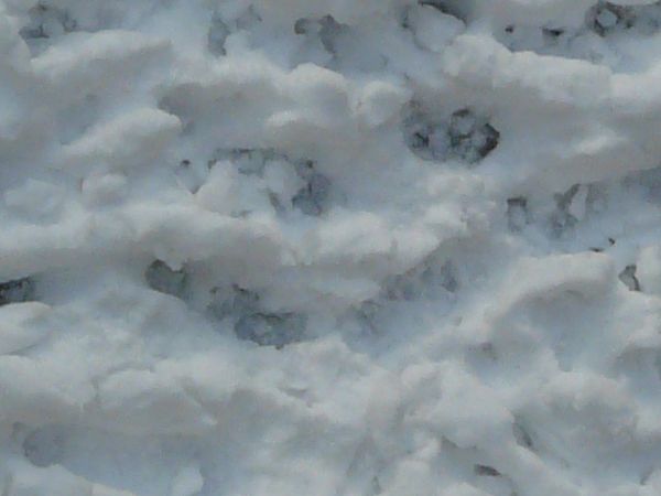frozen ground texture 0060 - Texturelib